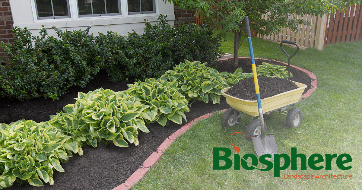 Meet Our Team | Biosphere Landscape Architecture